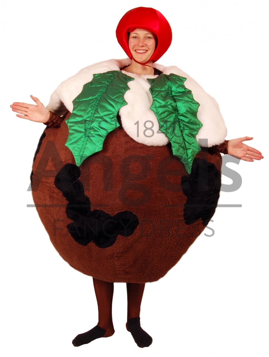 Angels Fancy Dress - Ho Ho Ho it's our Christmas Hire costumes